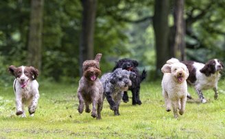 YOTEL Boston | Value Hotel in Boston Harbour, Massachusetts | YOTEL